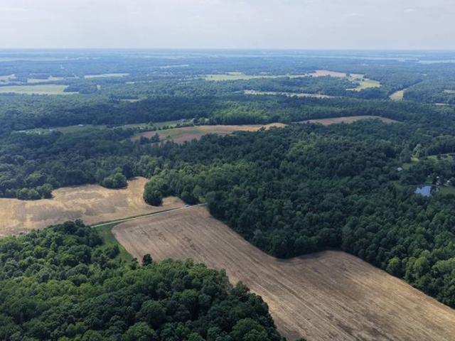 Rea Cemetery Rd, Coal City, IN 47427