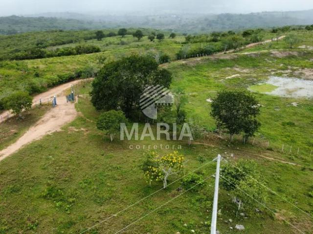 Área a venda com 14 Hectares em Gravatá/PE!
