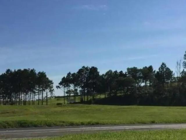 Área na Rodovia Castelo Branco em frente a Toyota