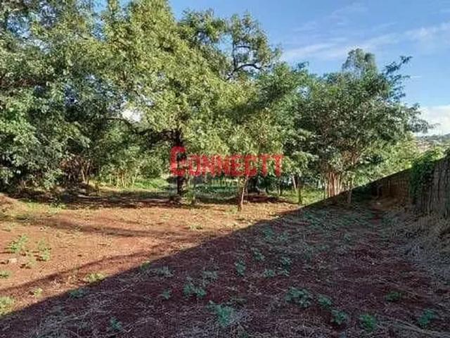 Área para alugar, 3000 m² por R$ 6.000,00/mês Ribeirânia Ribeirão Preto/SP