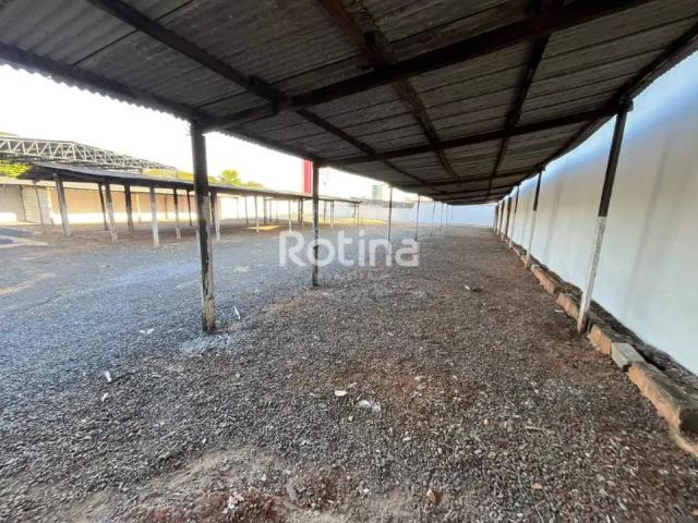 Área para alugar, Brasil Uberlândia/MG Rotina Imobiliária