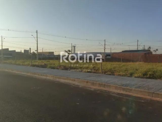 Área para alugar, Minas Gerais Uberlândia/MG Rotina Imobiliária