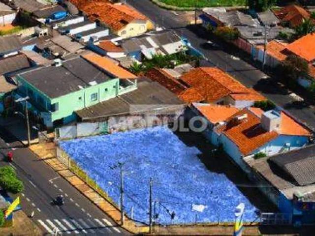 Área para locação Bairro Vigilato Pereira