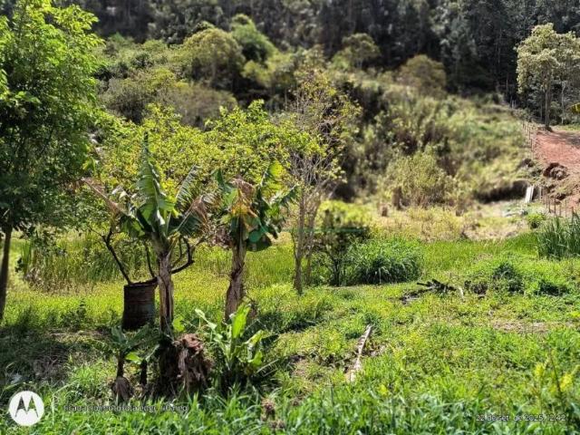 Área Rual à venda, 30000 m² por R$ 430.000 Campo Limpo Teresópolis/RJ