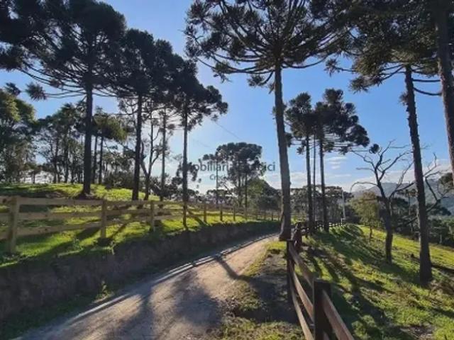 Área rural 2,08 hectares, à venda! 12