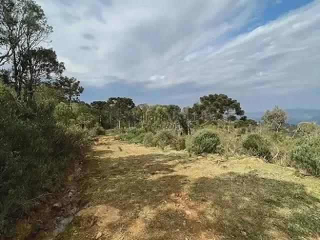 Área Rural com 2,00ha de área total, para venda. Campo dos Padres, Urubici SC