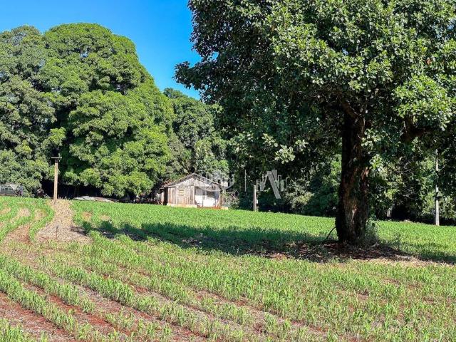 Área à venda, 12100 m² por R$ 3.500.000,00 Gleba Lindóia Londrina/PR
