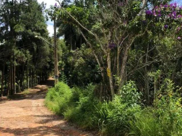Área 20.000 m² | Bairro Tijuco Preto – Cotia/SP | R$ 700.000