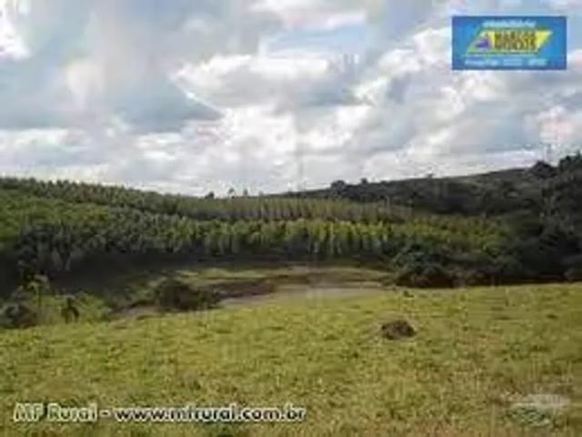 Área à venda, 45600 m² por R$ 950.000,00 Itinga Salto de Pirapora/SP