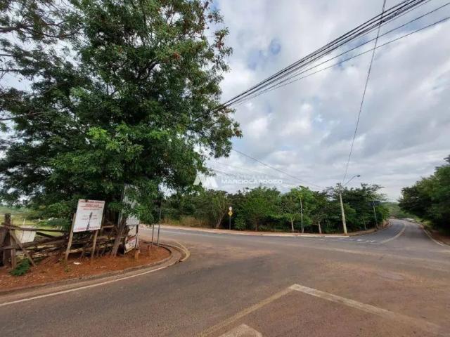Área à venda, 6000 m² por R$ 3.900.000,00 Setsul São José do Rio Preto/SP