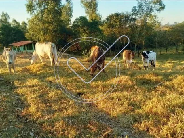 Área à Venda com Acesso à Rodovia Castelo Branco Porto Feliz/SP