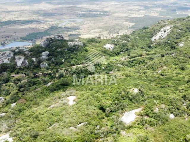 Área à venda com 38 Hectares em Serra Negra, Bezerros/PE!
