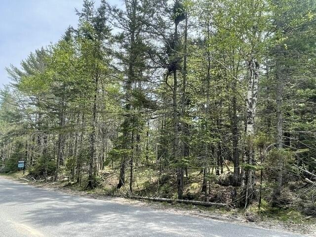Reach Rd, Deer Isle, Plot For Sale