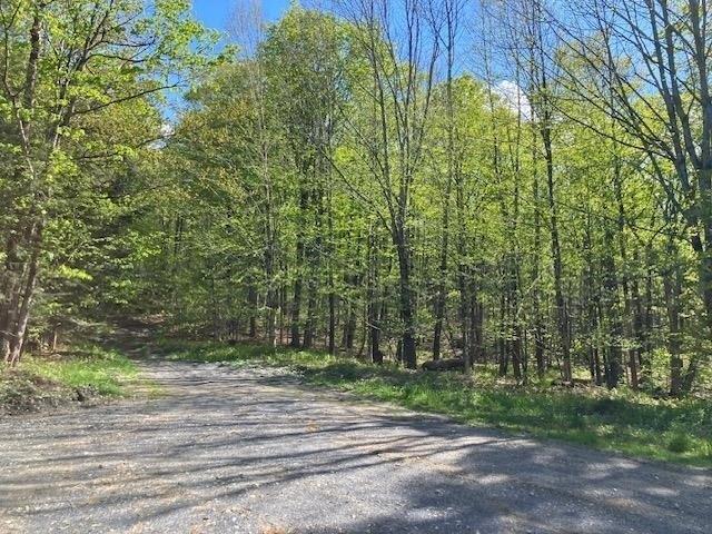 Readsboro VT 05350 103665426