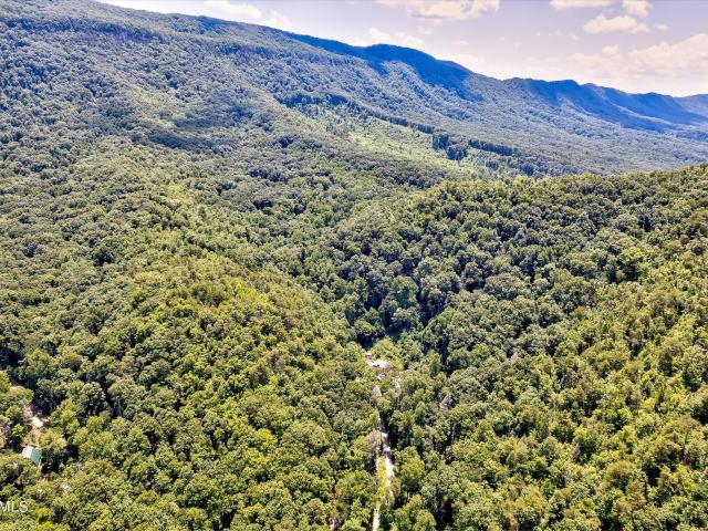 Reagan Springs Rd, Seymour, TN 37865