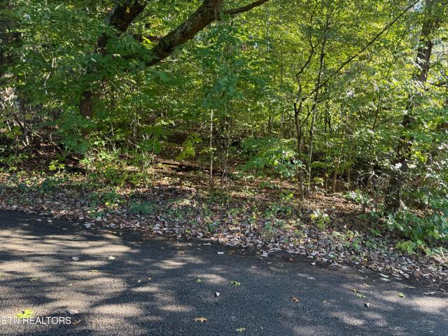 Reagan St, Harrogate, TN 37752