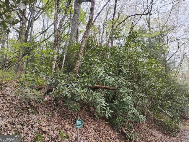 Rebel Cir Lot 39, Sky Valley, GA 30537