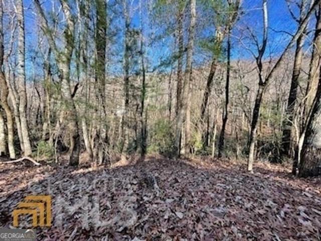 Rebel Cir Lot 3, Sky Valley, GA 30537