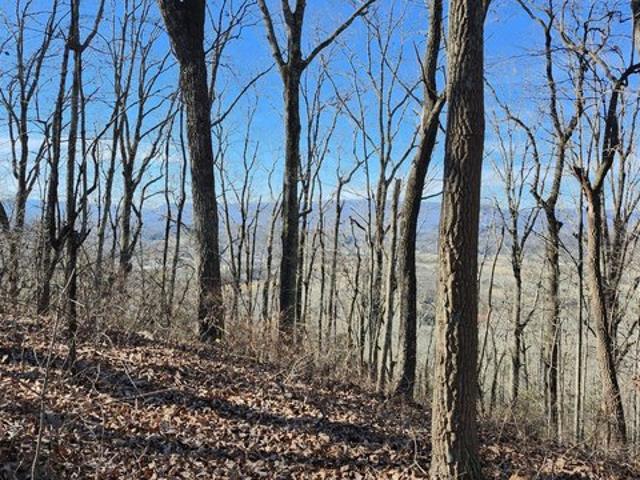 Rector Rd, Jasper, TN 37347