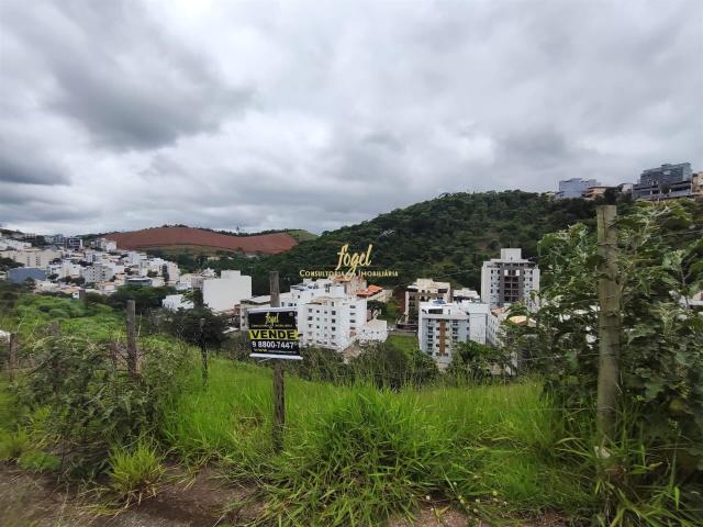 Recanto da Mata II Terreno com 360m² 12m x 30m Vista Livre p Recanto I