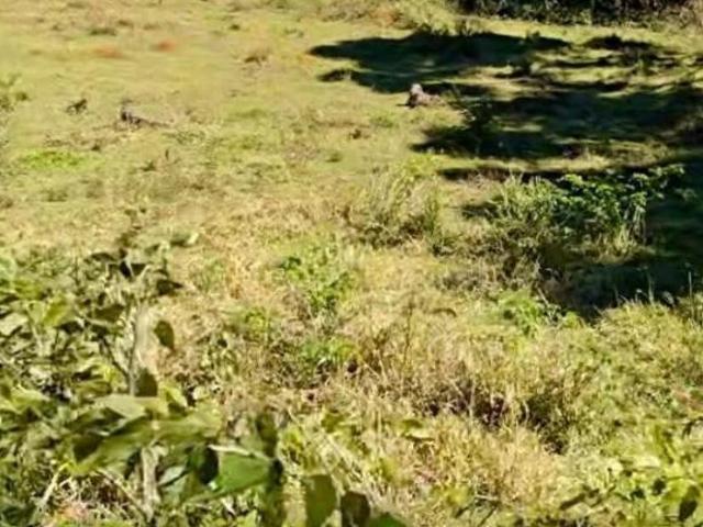 RECANTO DAS ARAUCÁRIAS