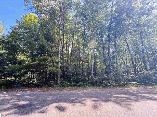 Redwine Lot 789, Houghton Lake, MI 48653