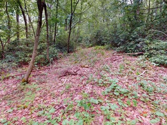 Redwood Dr Lot 103, Terra Alta, WV 26764