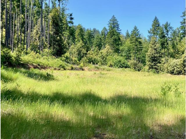 Redwood hwy