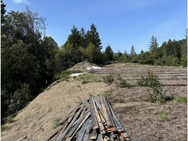 Redwood hwy