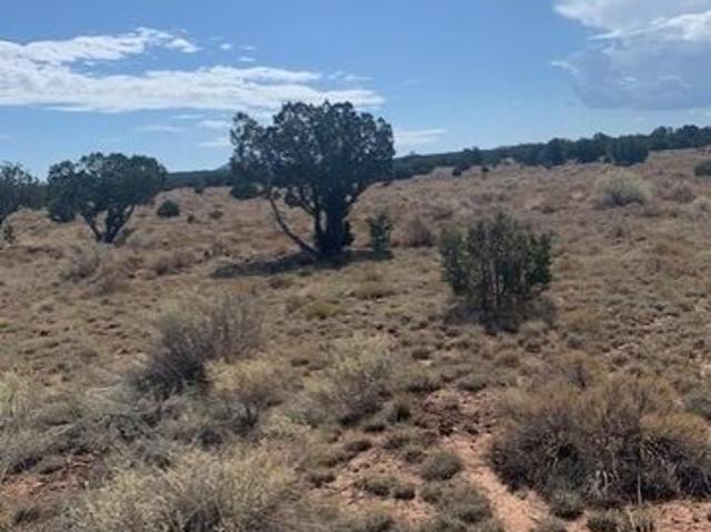 Redwood St, Williams, AZ 86046