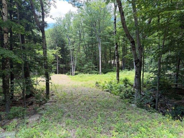 Red Coat Ln, Stoddard, Plot For Sale