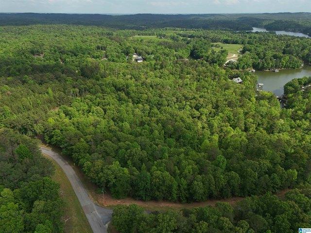 Red Cedar Dr Lot 125, Wedowee, AL 36278