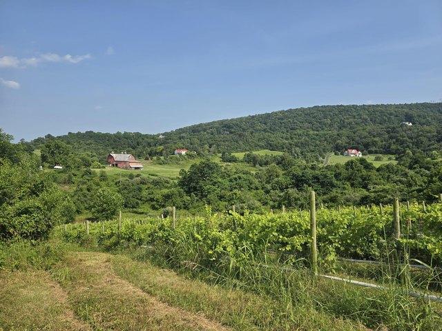 Red Barn Ln, Front Royal, VA 22630