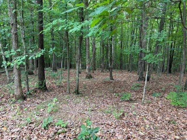 Red Bird Dr Lot 3, Gladstone, VA 24553