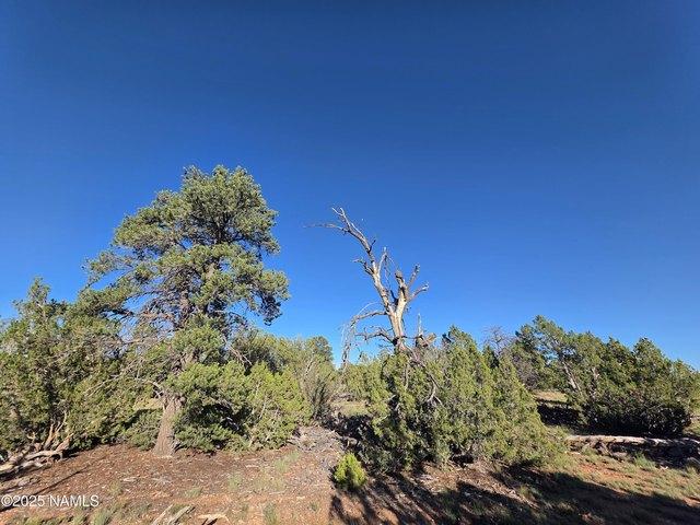Red Butte Rd Parcel 50231 A, Williams, AZ 86046
