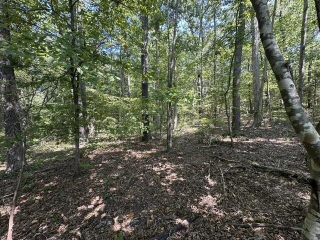 Red Bud Cir, Big Sandy, TN 38221