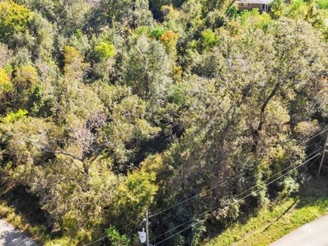 Red Fox Dr, Houston, TX 77532