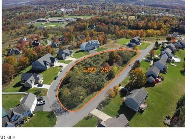 Red Fox Dr Lot,duncansville, Plot For Sale