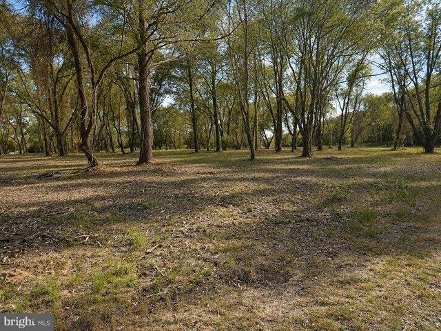 Red Hill Ln Lot 1, Nanticoke, MD 21840