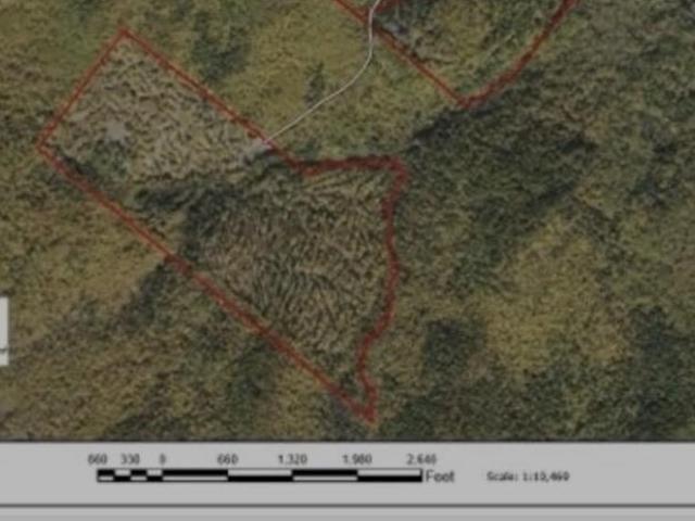 / Red Hill Rd, Moultonborough, Plot For Sale