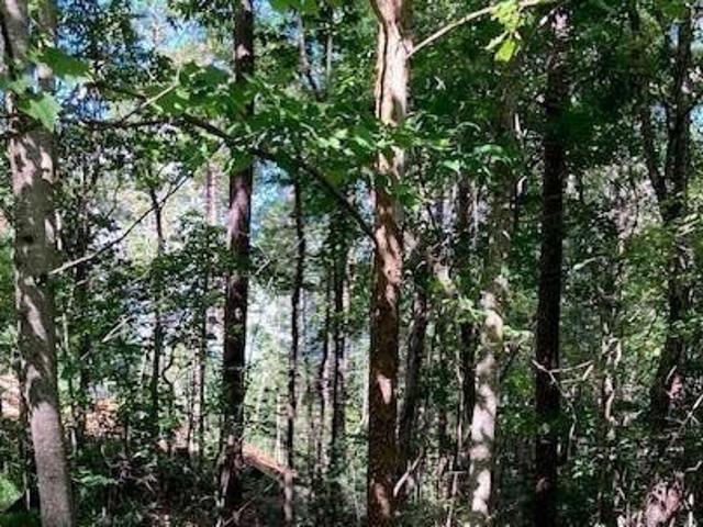 Red Oak Trl, Ellijay, GA 30540