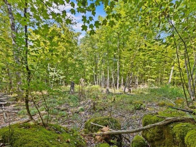 Red Rock Rd, Colchester, Plot For Sale