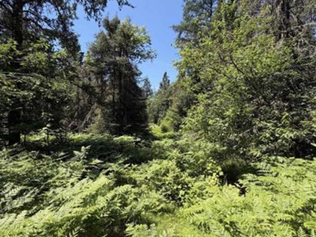 Red Rd, Ishpeming, MI 49849