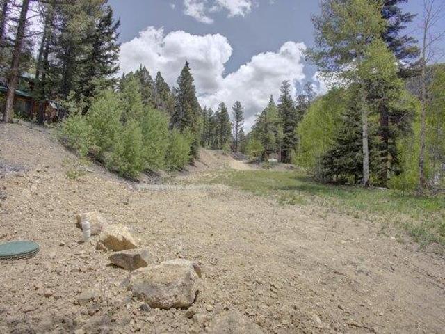 Red River NM 87558 LS95774473