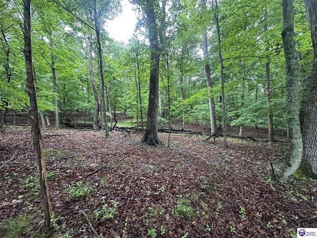 Red Wing Rd, Brandenburg, KY 40108