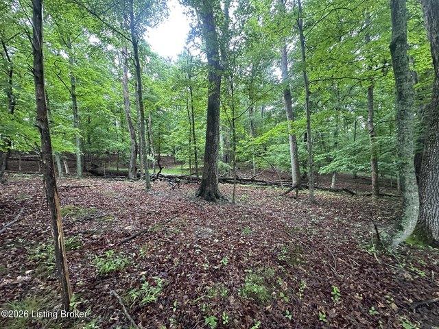 Red Wing Rd Lot 40, Doe Valley, KY 40108