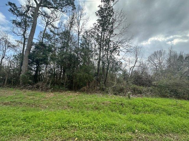 Redbud Dr, Conroe, TX 77302
