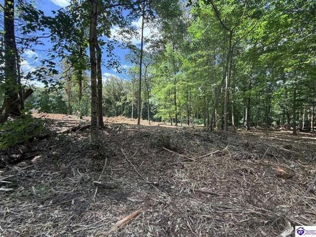 Redhawk Lot 15, Rineyville, KY 40162