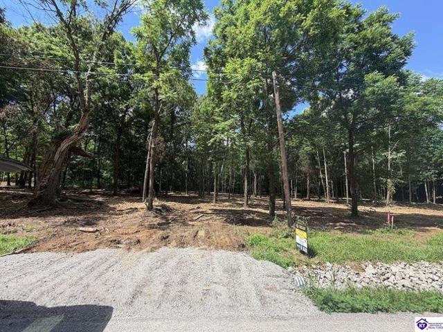 Redhawk Lot 16, Rineyville, KY 40162