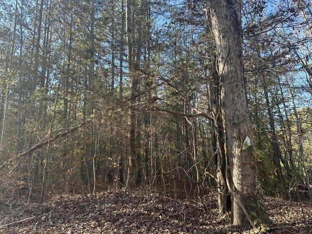 Redman Ln, Decatur, TN 37322